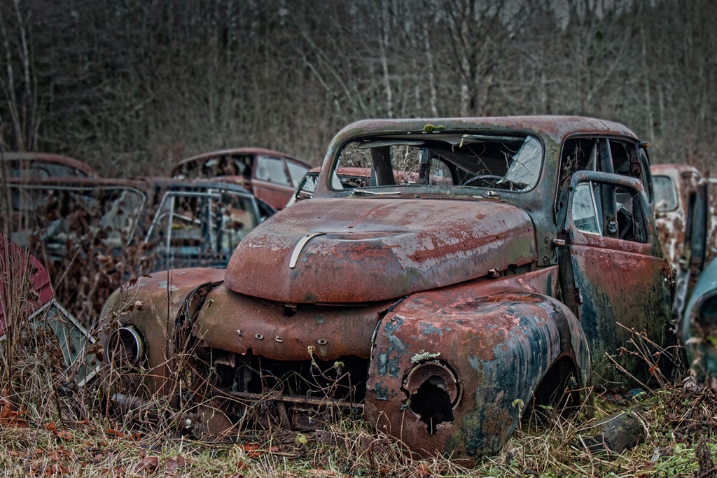 ragnar fredrik fotos