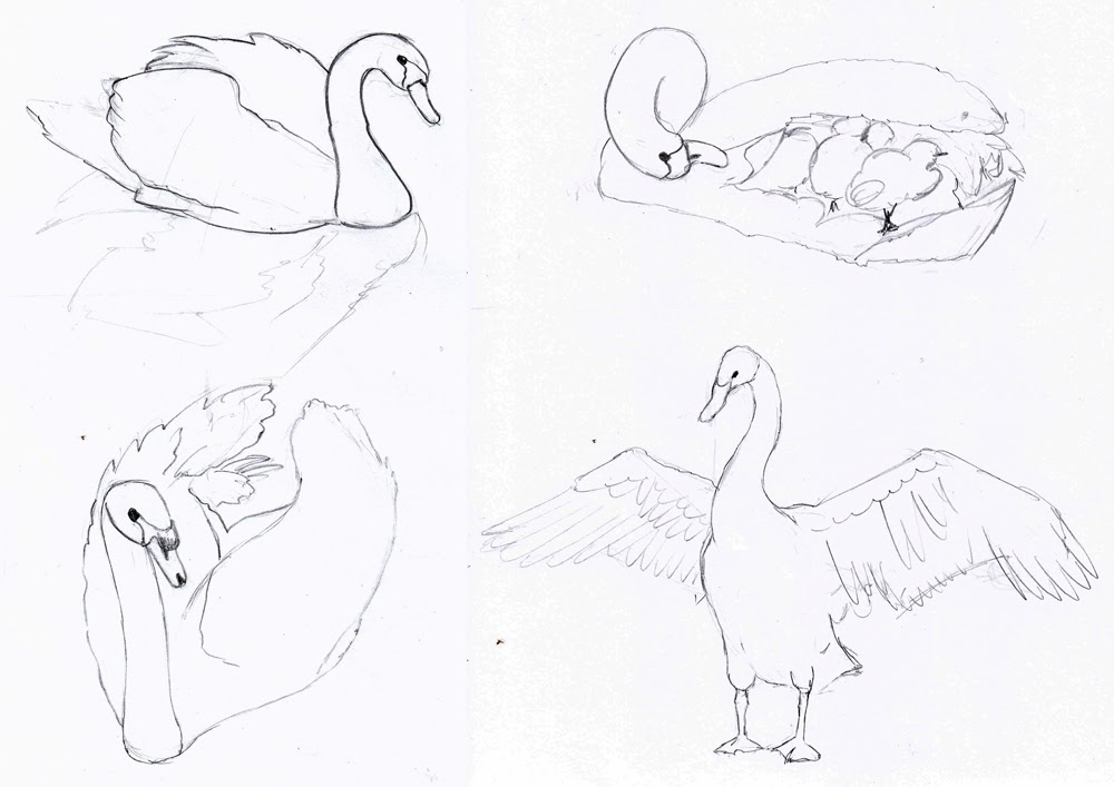 Weekly : Doodles and tuts: Drawspace lesson M07: How to draw a swan