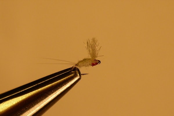 Tying and Fishing Tiny Flies: Ed Engle's Fly "The Secret Weapon"