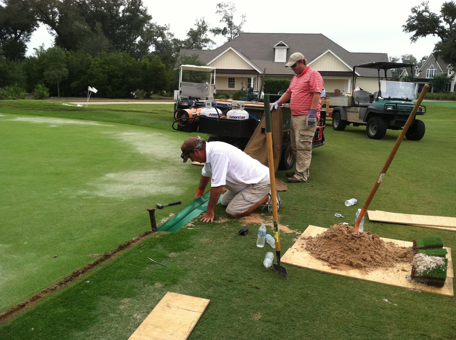 Preserve Golf Club Agronomy: Greens Encroachment Barrier System (GEBS ...