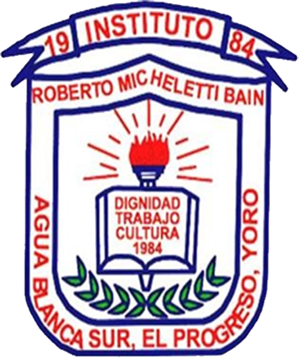 2018 ~ INSTITUTO ROBERTO MICHELETTI BAIN