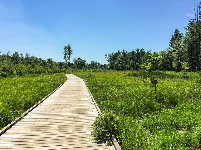 Biking the Green Circle Trail in Stevens Point