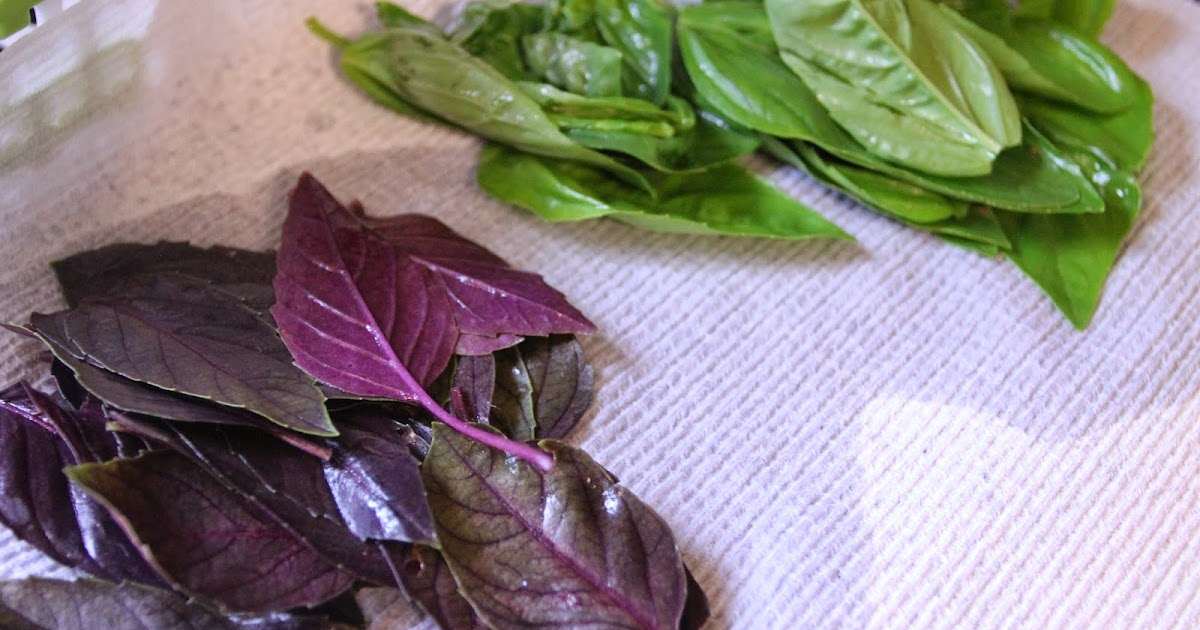 Bossy Italian Wife : Preserving Basil [In the Freezer!]