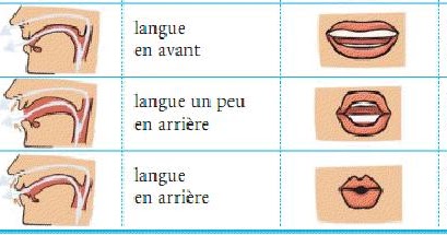 Le petit coin du français: Les voyelles nasales