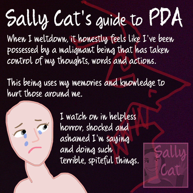 Sally Cat PDA: How I understand PDA (in language kids can understand)
