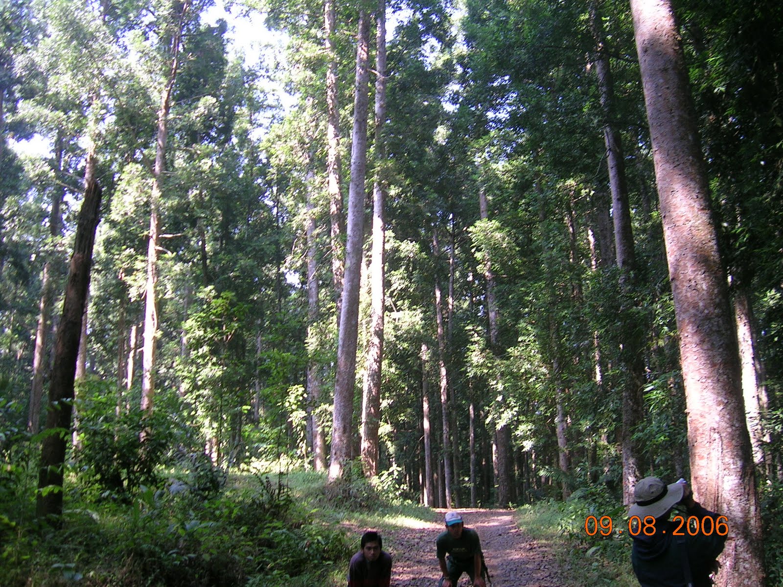 Tourist or Traveller: Trip to Java (Part 6 :The famous Gunung Walat ...