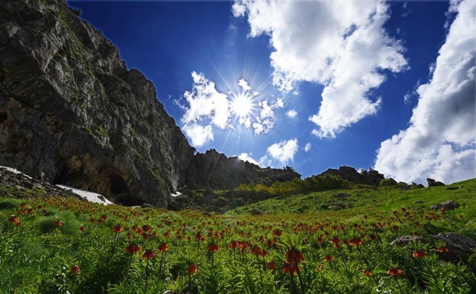 The Land of Kurds -Kurdistan (Anatolia-Mesopotamia): Kurdish (Medes) People