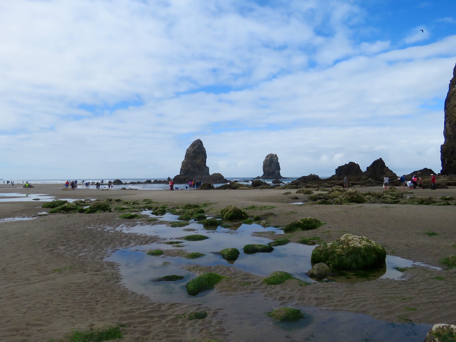 Winds of Destiny - RVLife: Low Tide at Haystack Rock, 6/21/2016