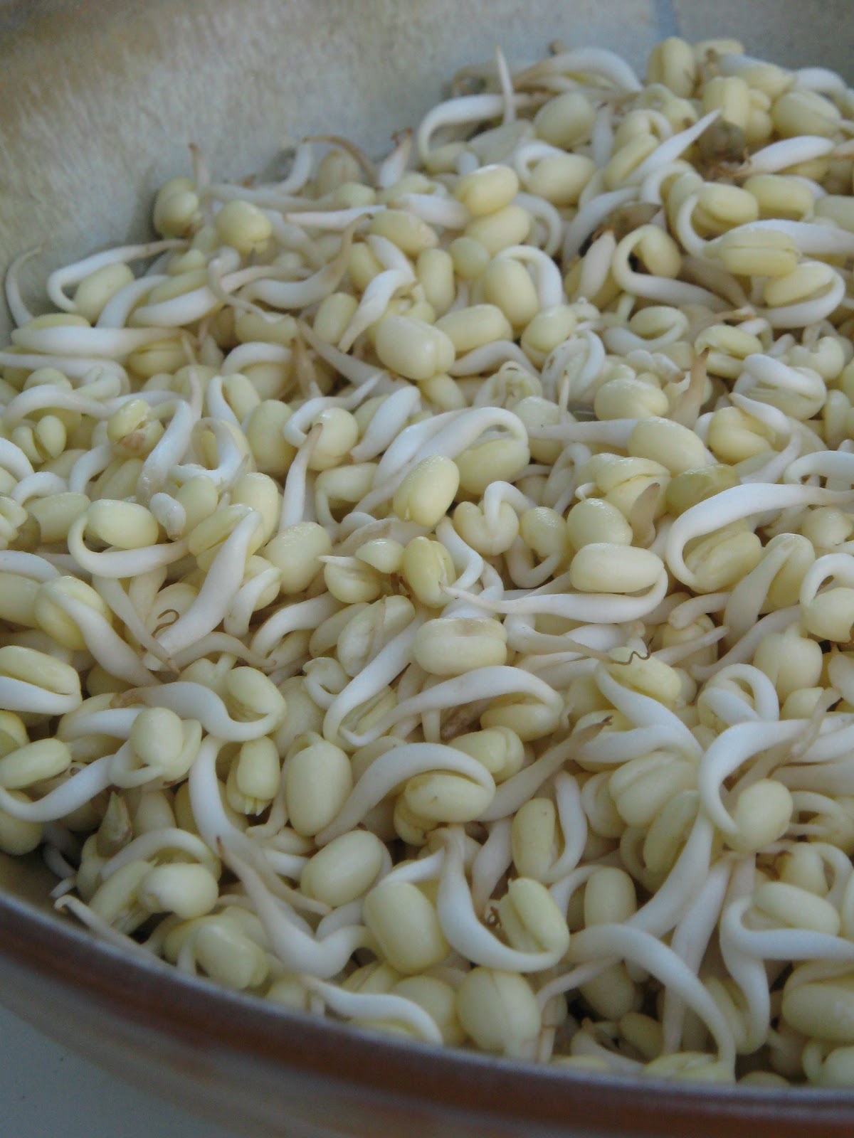 bucaio: Balatong, Agor, Impabasik