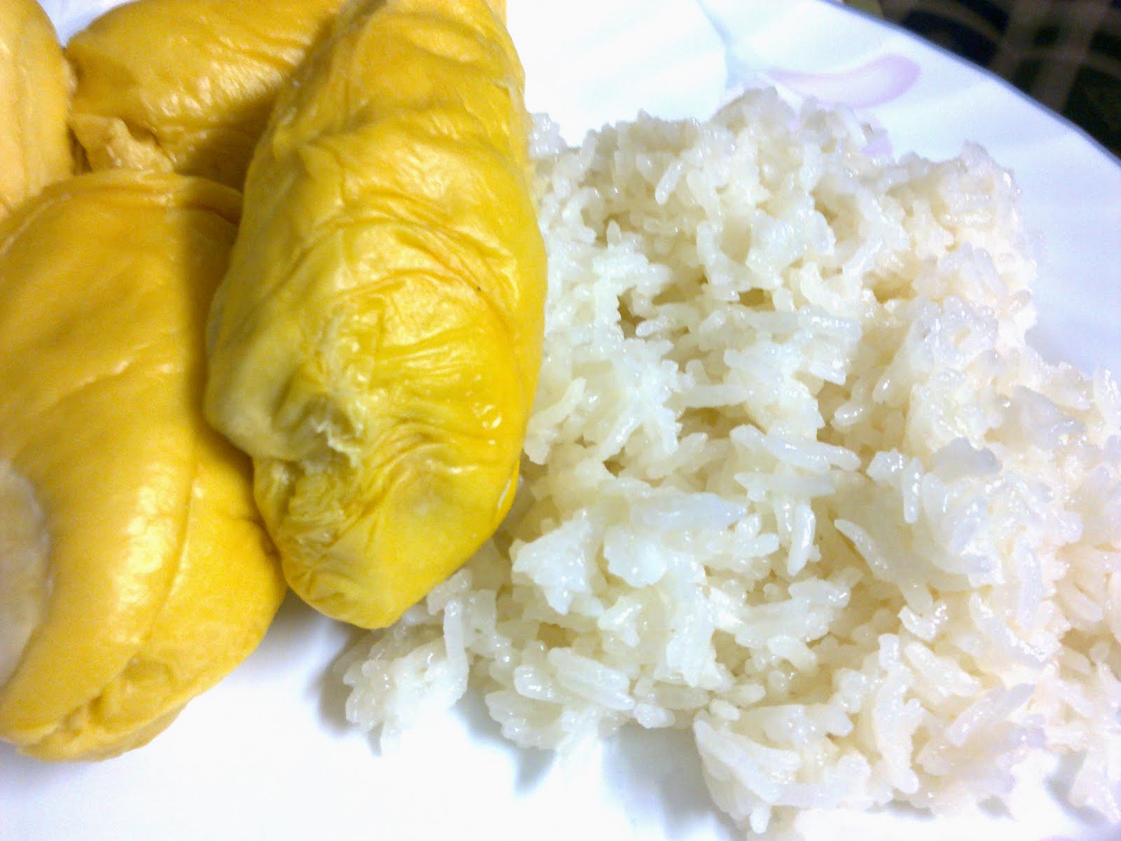 elegance: pulut durian