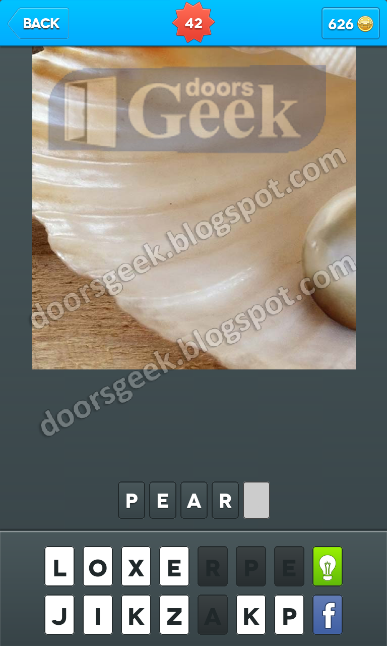 Zoomed In - Photo Word Game Level 42 ~ Doors Geek