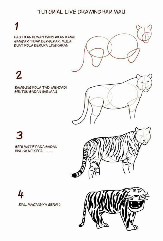 Tutorial Menggambar Harimau Lucu Cisewu