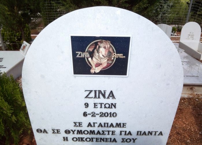 Νεκροταφείο Μικρών Ζώων "Ο ΑΓ. ΦΡΑΓΚΙΣΚΟΣ": Φωτογραφιες του ...