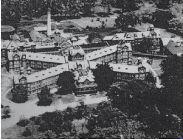 Green Family Archives: 52 Ancestors: #34 Augusta Lange, Asylum Patient ...