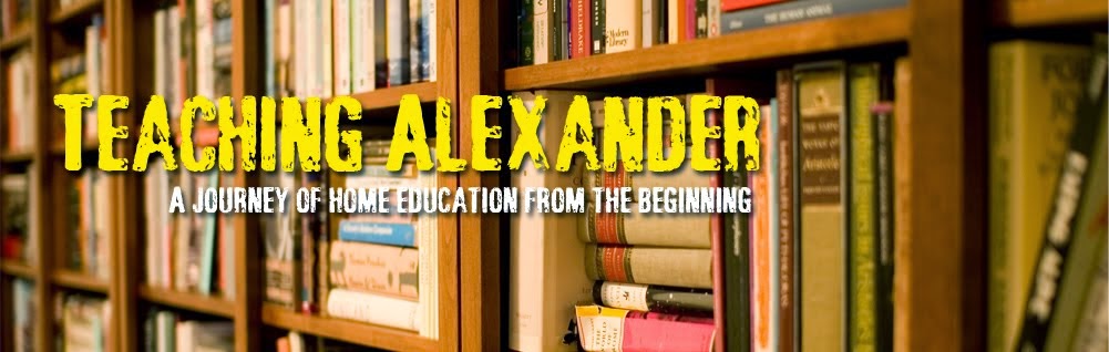 Teaching Alexander: Hate The System