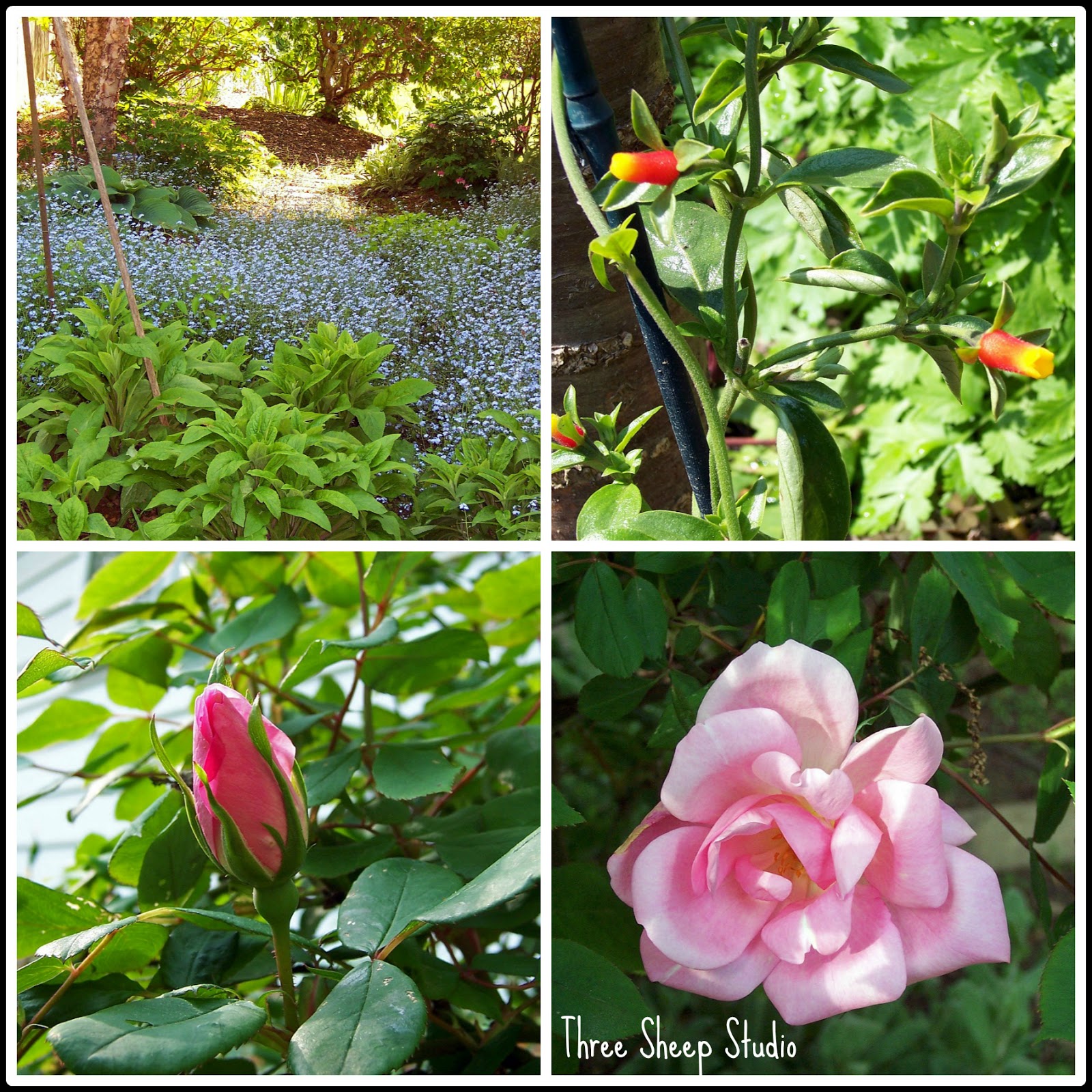 Three Sheep Studio: A Spring Garden Tour...