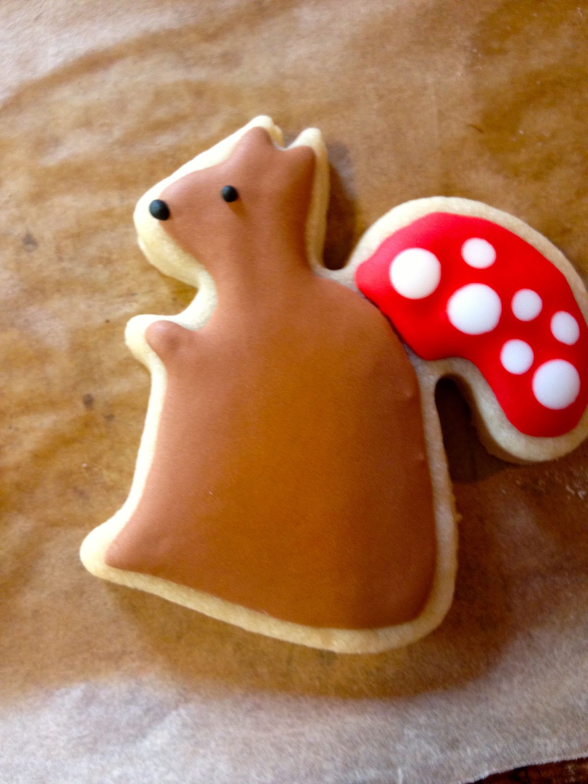 Heidi's Mix: Wild Squirrel Cookies