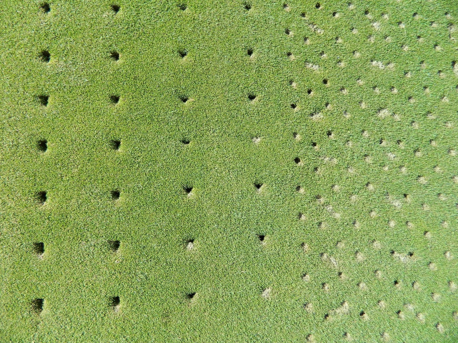 LGCC Golf Maintenance: Fall Aerification