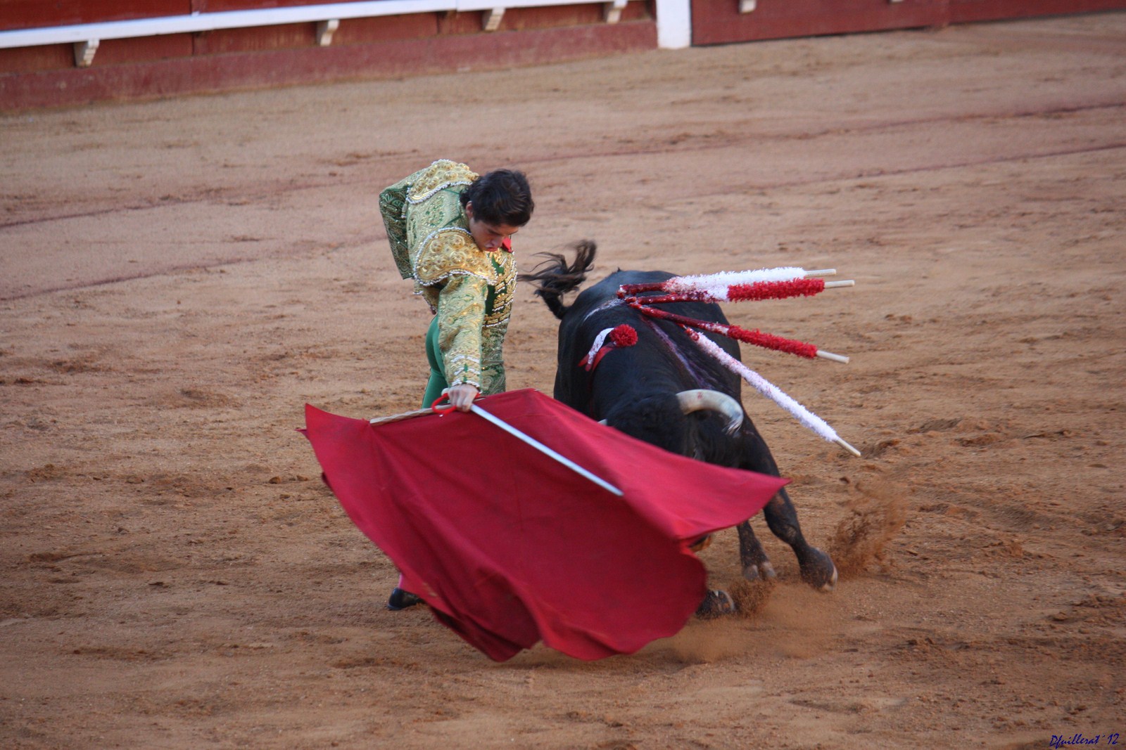 Blog Taurino Remellao : LA NOVILLADA DE MIGUELÍN EN FOTOS
