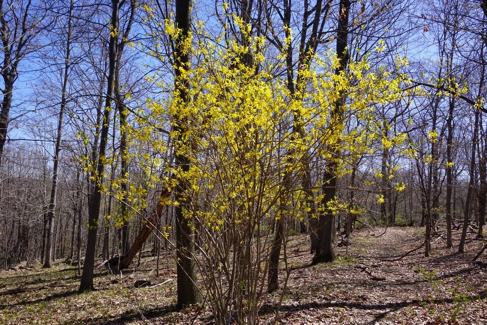 Harriman Hiker: Harriman State Park and Beyond: Buttermilk Falls and ...