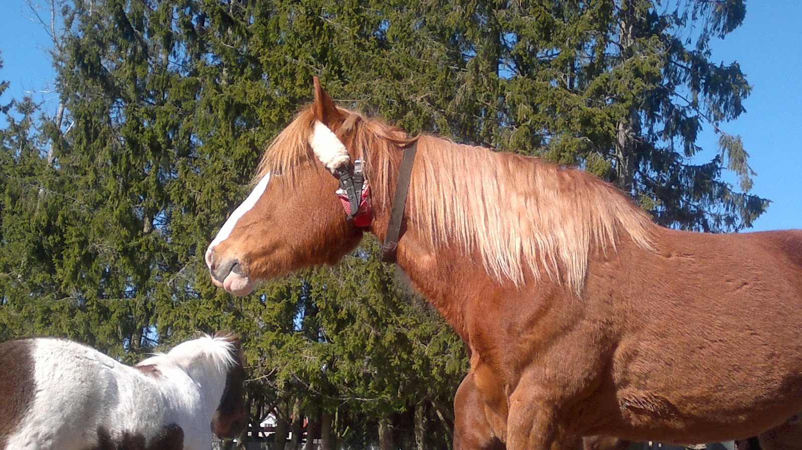 Tapahtumarikas Tallimme!