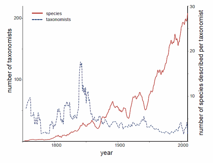 Diatom of the month – July 2016: Nitzschia amphibia