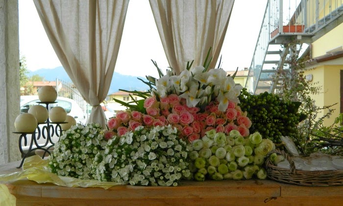 LIETA CIMA: Primavera rustica