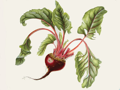 RGC: Ubit Merah Aktifkan Sel Darah Merah - Red Guara Cafe