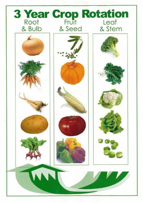 Crop Rotation Chart