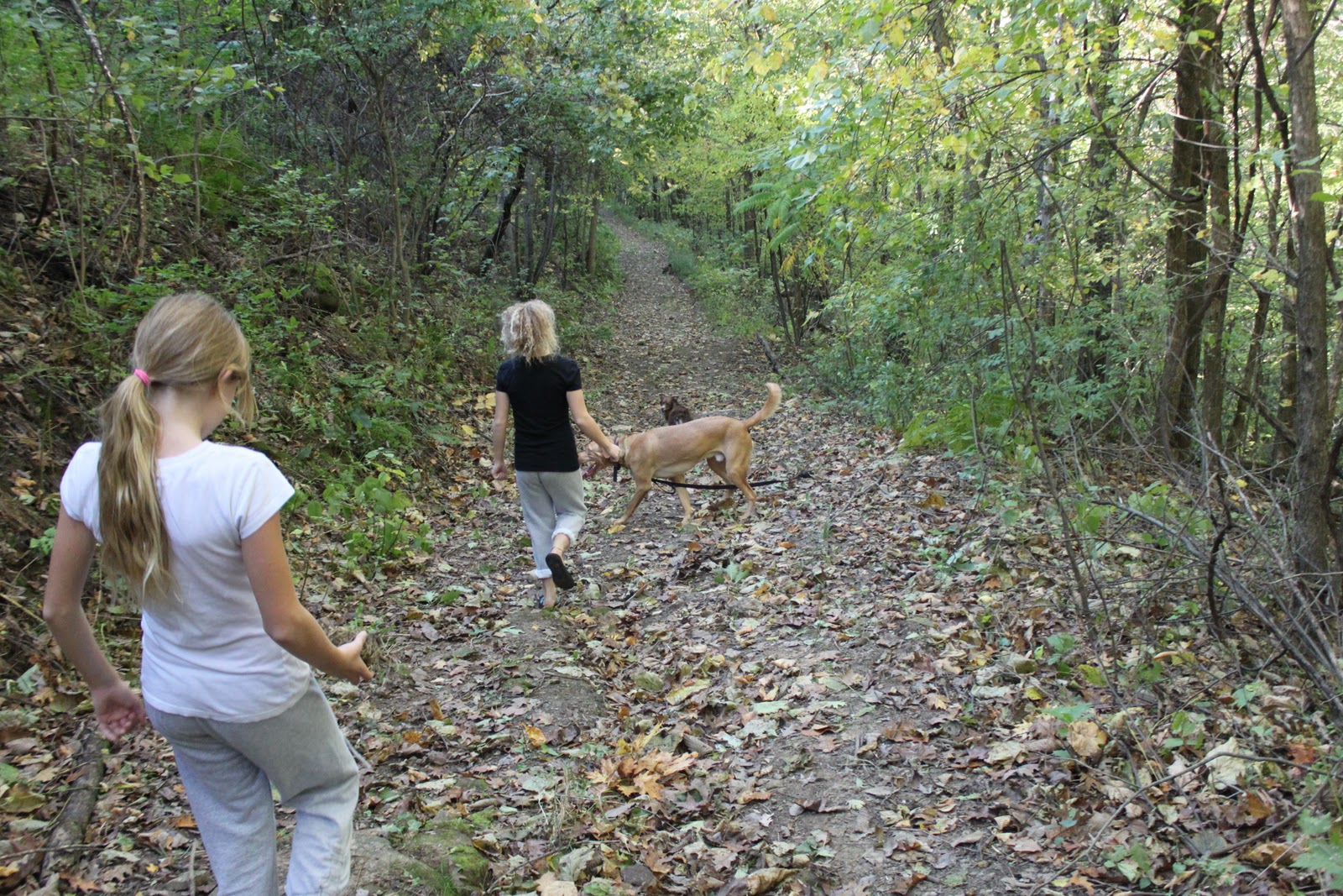 Russman's spot: Hiking at Kruger Management Unit