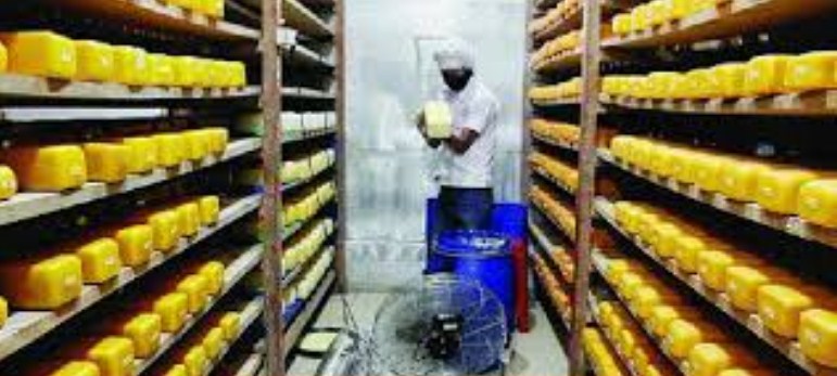Cheese Making Process - Do you know how to make cheese? - Making Process