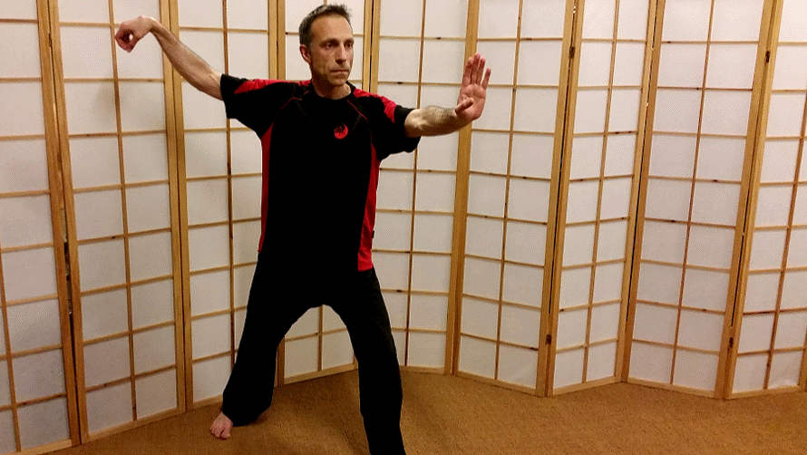 "Combat tai chi"? Seriously?