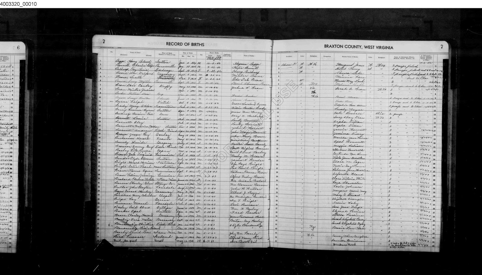 Family Tree & Branches: ANCESTOR SPOTLIGHT: DORR CONLEY BEAN