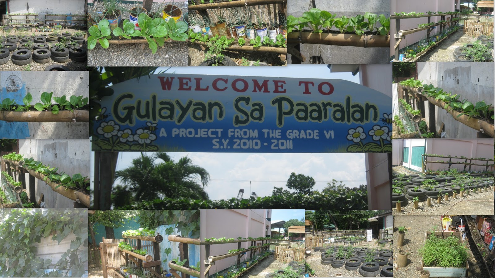 gulayan sa paaralan - philippin news collections