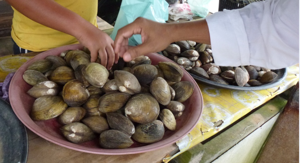 Myjottings898: Sayur Pedas Bayam dengan Lokan