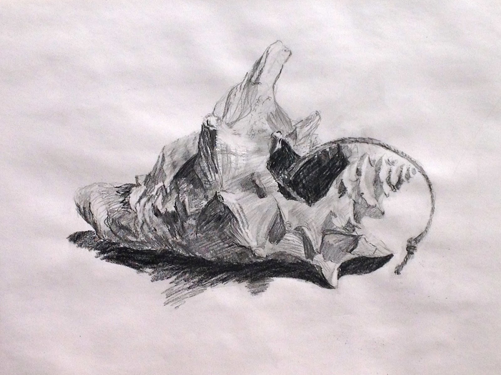 mytexturedworld: Pets and Animals Exercise 2 Tonal study of bones and ...