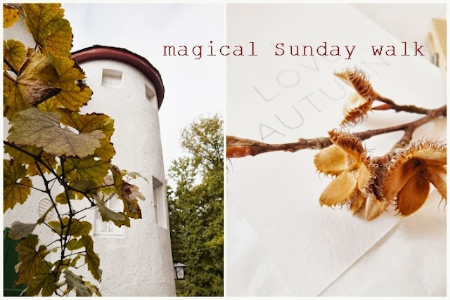 Magical Sunday walk - by meisje