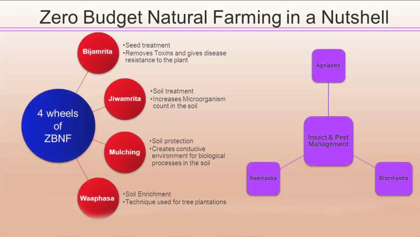 zero budget natural farming: introduction Zero Budget Natural Farming