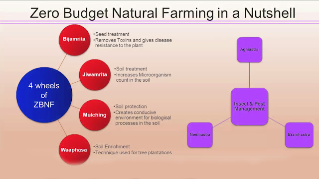 zero budget natural farming: introduction Zero Budget Natural Farming
