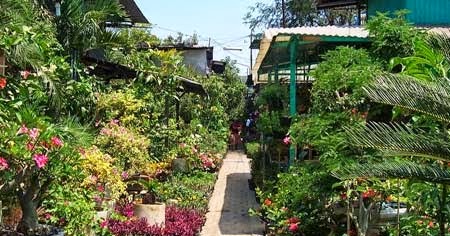 Pasar Bunga Jalan Kayoon Surabaya | ORIZA FLORIST