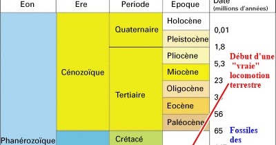 L'évolution des stratégies de locomotion - Partie 2 - La conquête du ...