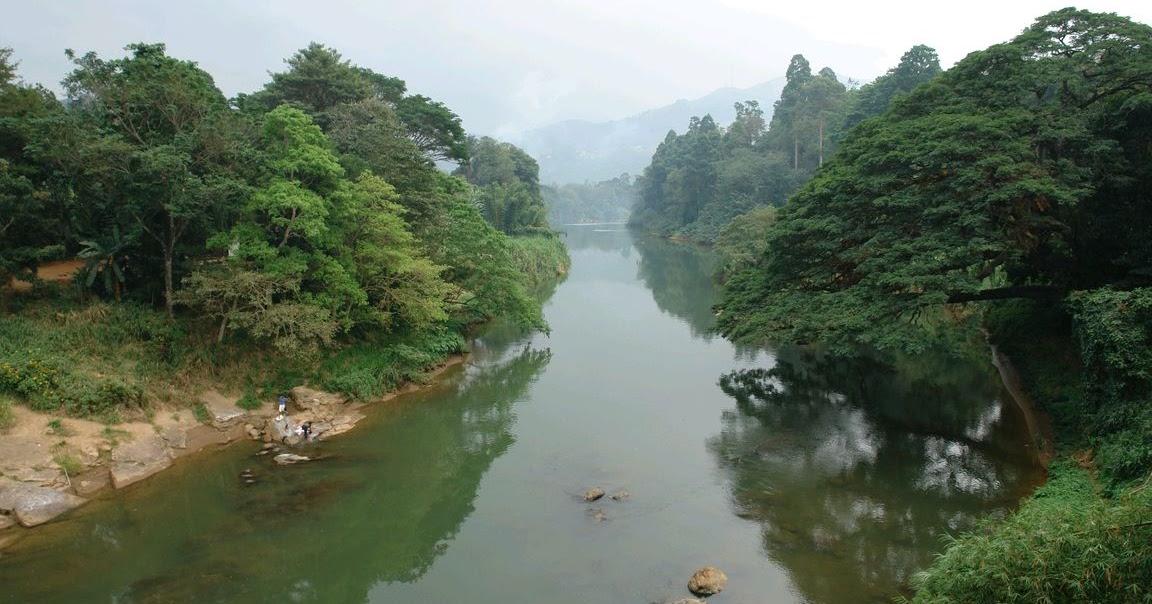 හදවත : කුහක දරුවන්ගෙ අම්මා