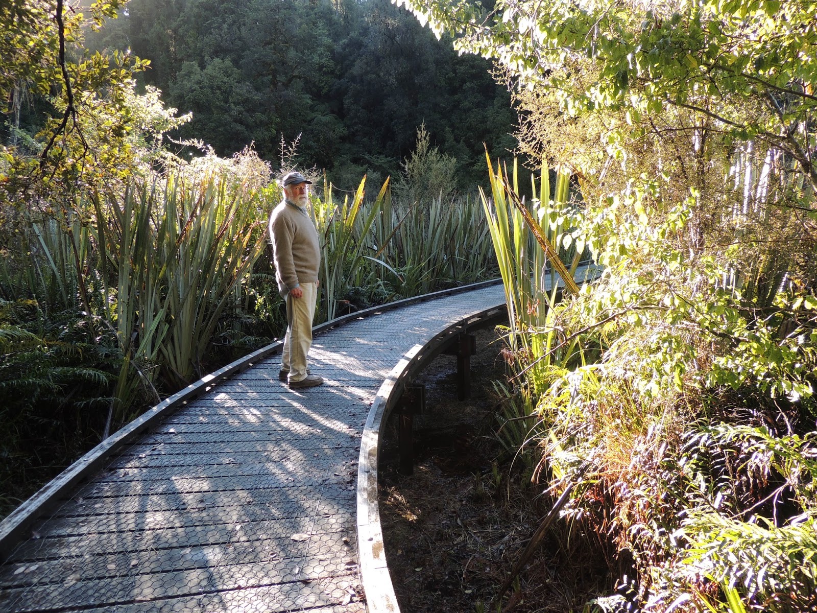 THE ROAD TAKEN : To Fox Glacier + Lake Matheson