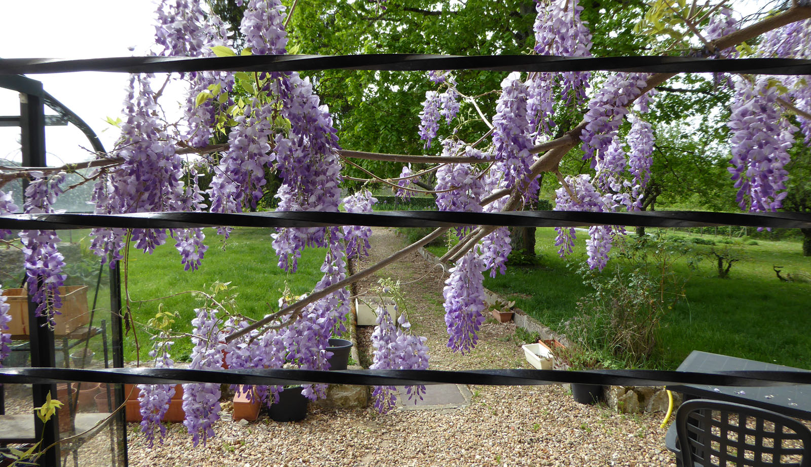 Living the life in Saint-Aignan: Nouvelles de fleurs