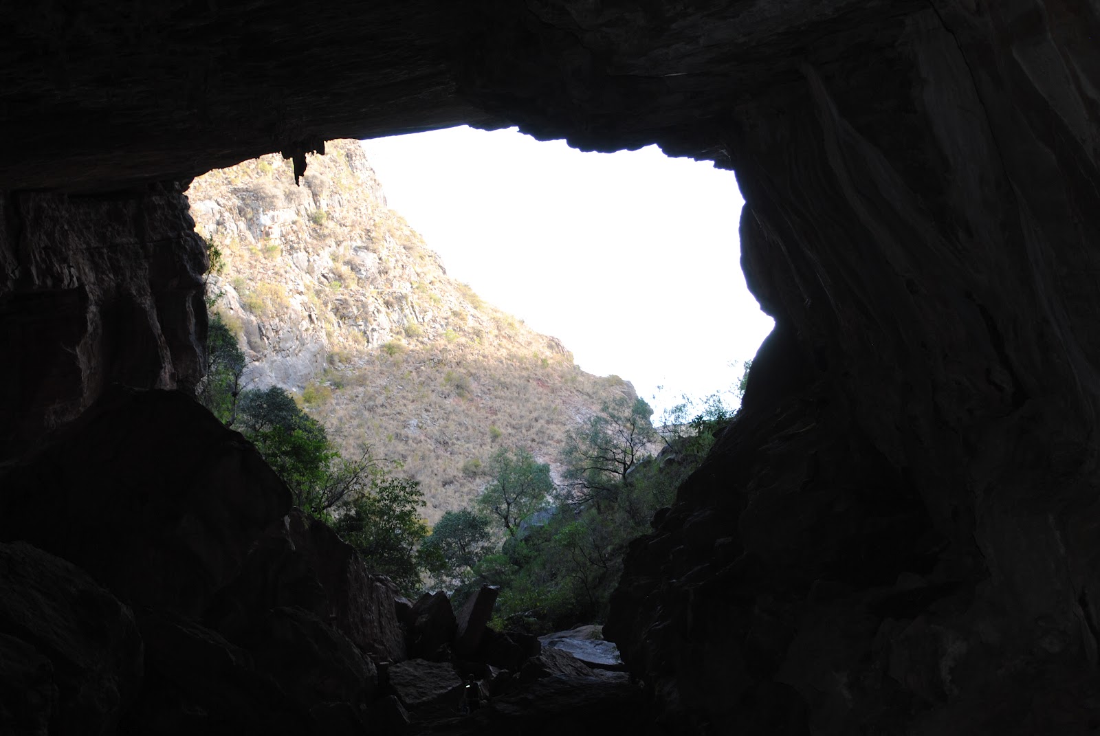 DISCOVER GREEN BOLIVIA TRAVELING: TORO TORO