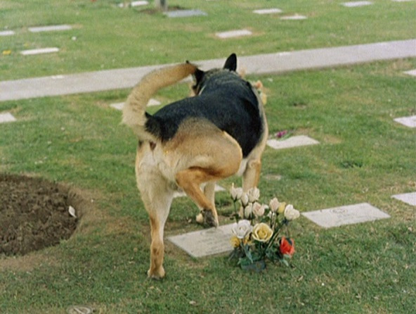 1001: A FILM ODYSSEY: MONDO CANE (1962)