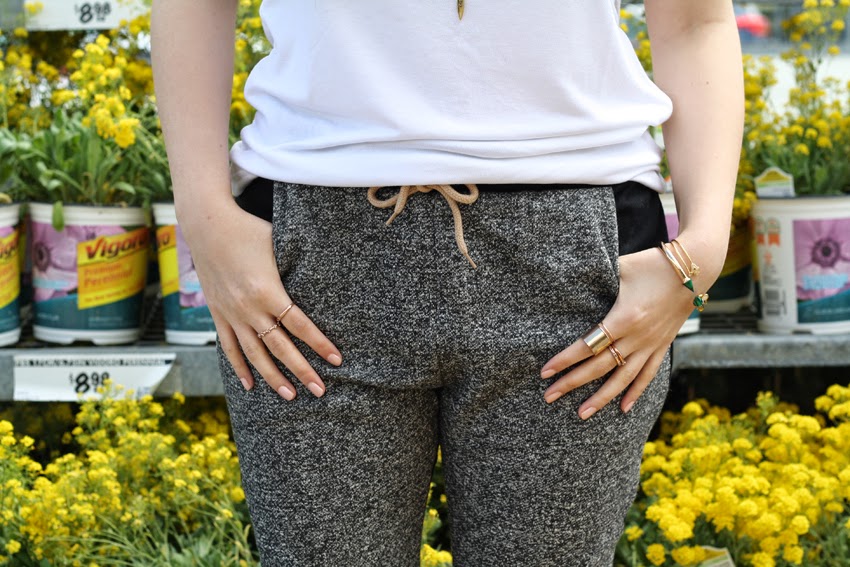 Sweat Pants at the Flower Market | Sound of Sweet Lullabies