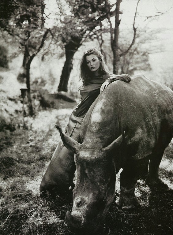 Inspirational Board: Inspiration of the day | Wayne Maser