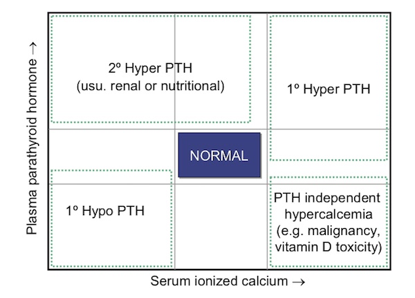 Insights into Veterinary Endocrinology: Q & A: Hypercalcemia with ...
