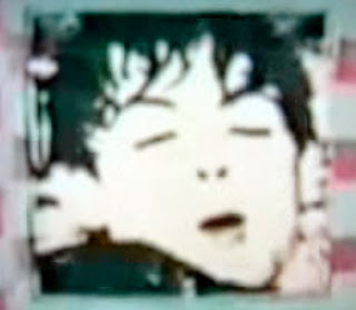 Plastic Macca ~ Paul is Dead: Paul is Dead (murdered): "Braverman's ...